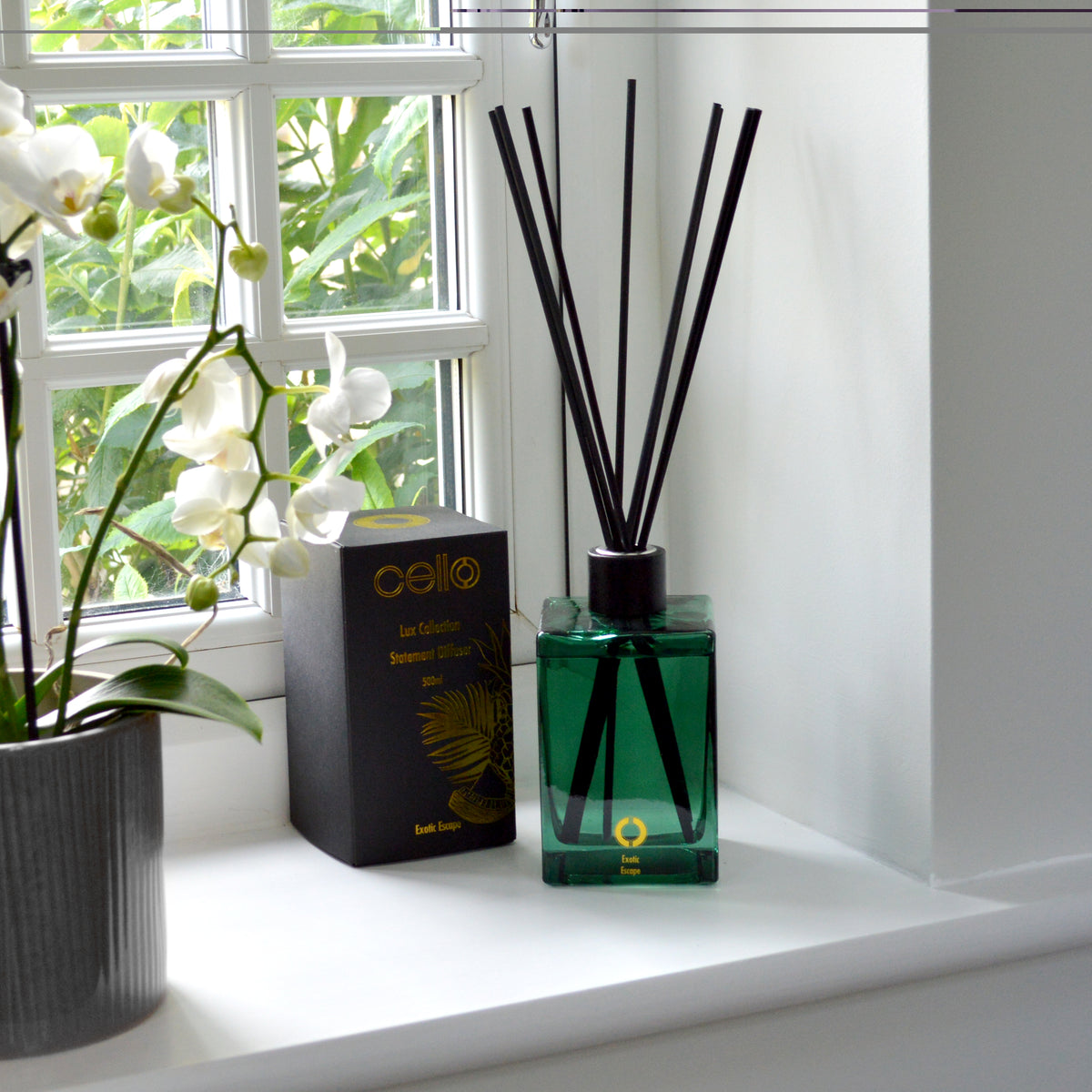 Lux Reed Diffusers | Cello