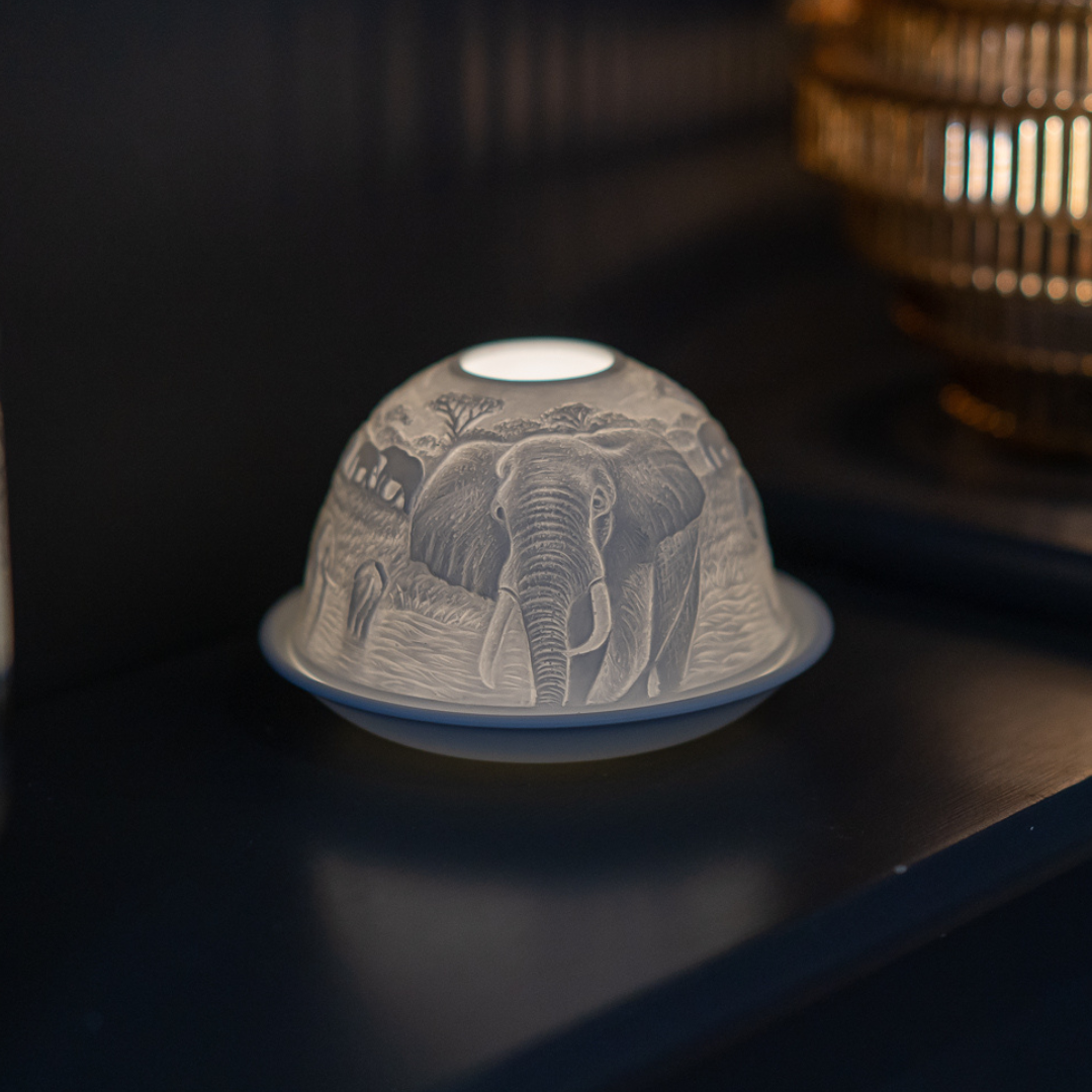 Porcelain Range – Cello