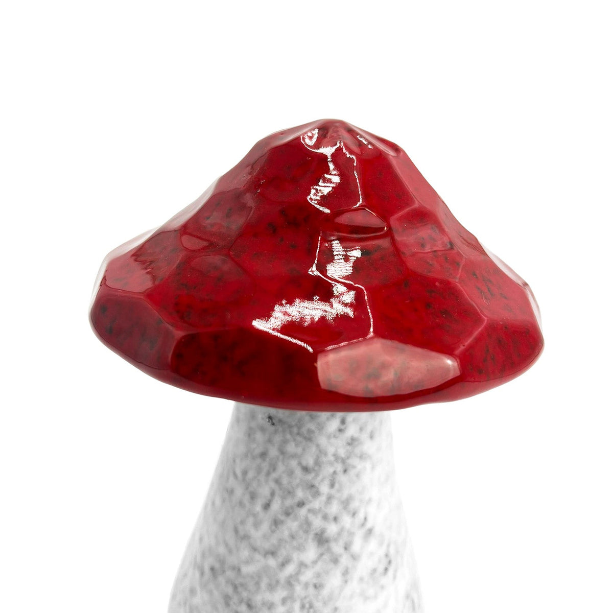 Home - Mushrooms - Medium – Cello
